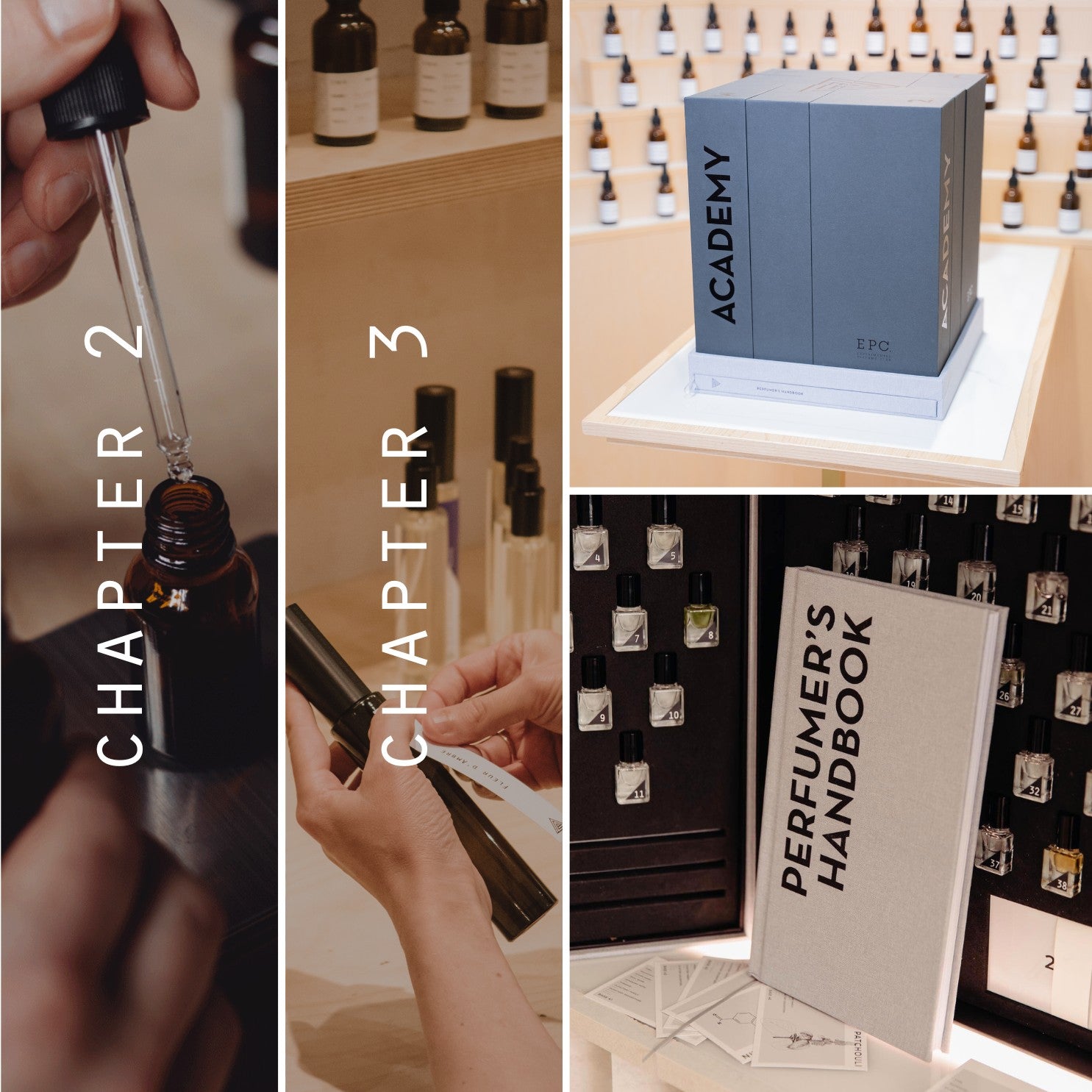 Fundamentals Of Perfume Creation Course Bundle: Chapters 2 & 3 ...